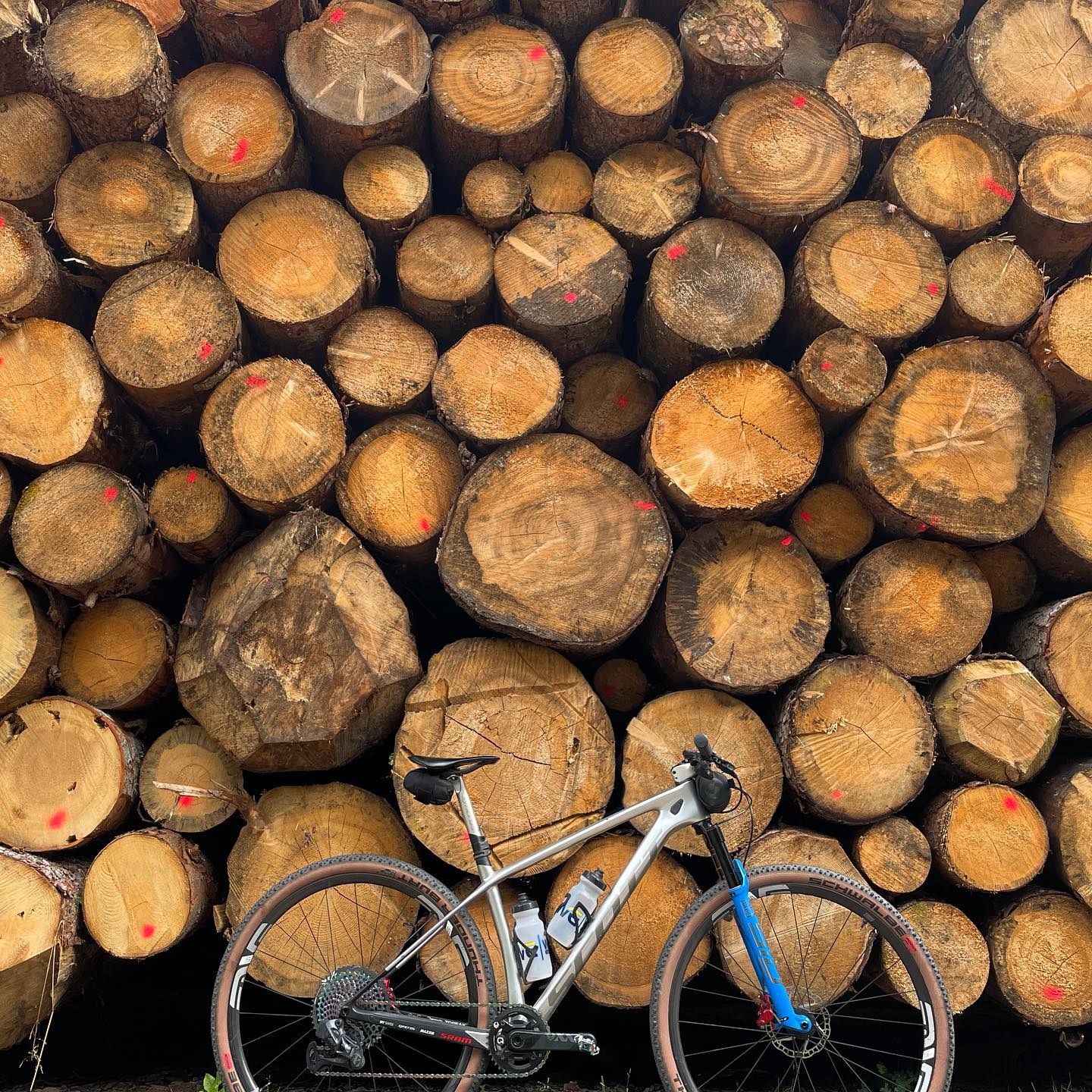 How does fore / aft saddle position affect muscle engagement? - Waite ...